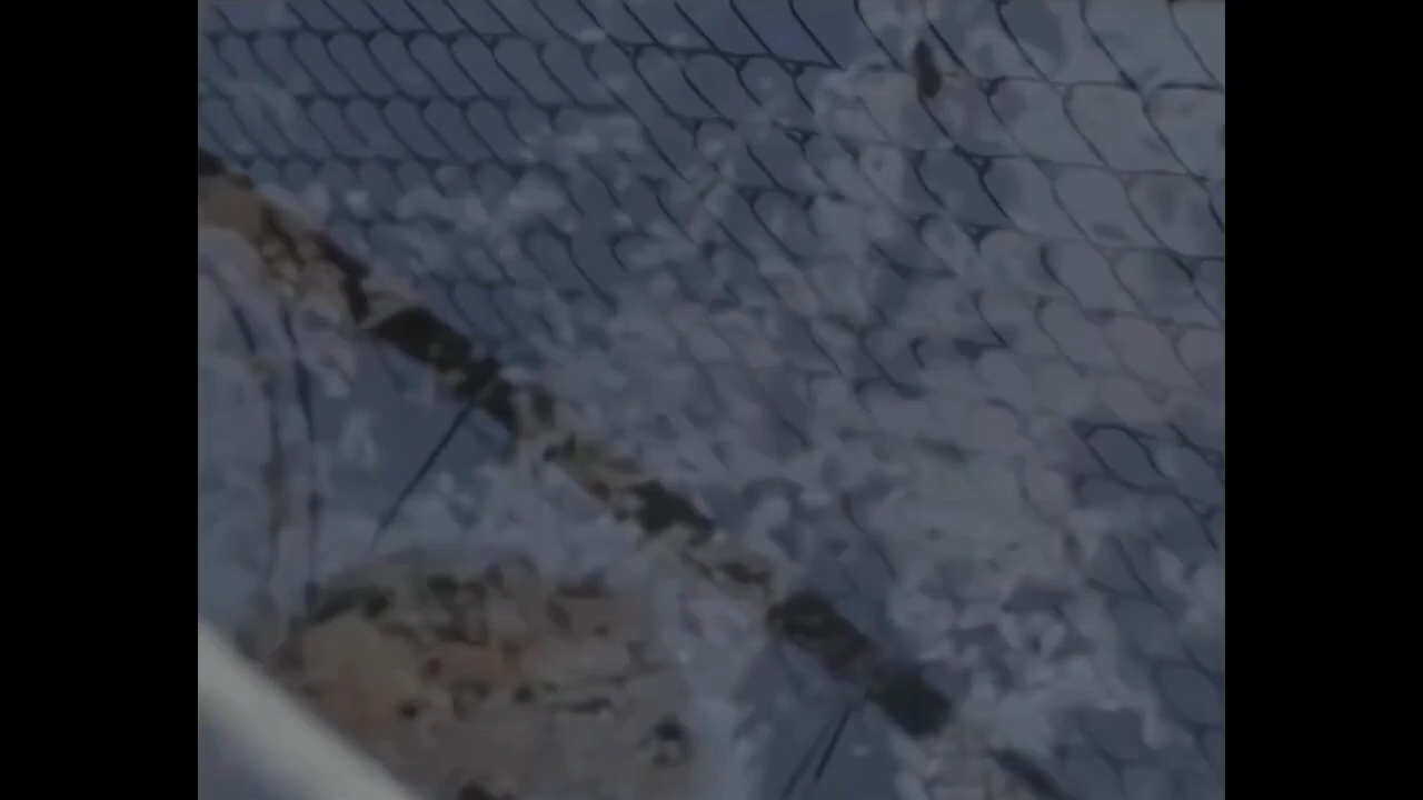 Skull Green Screen Meme Template Video Download | Memes.co.in